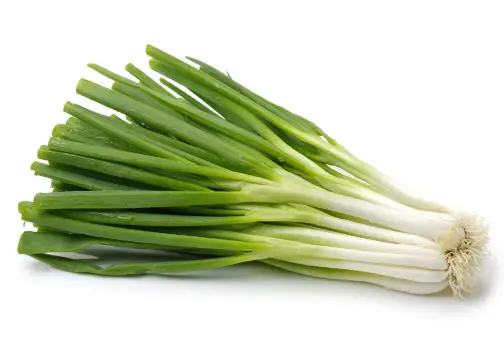 Benihana Hibachi Noodles Recipe With Shrimps